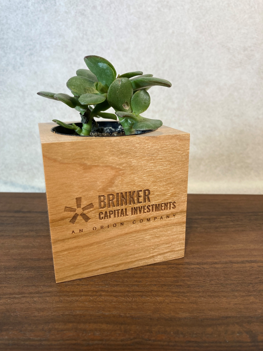 Flex Program – Milestone Cube